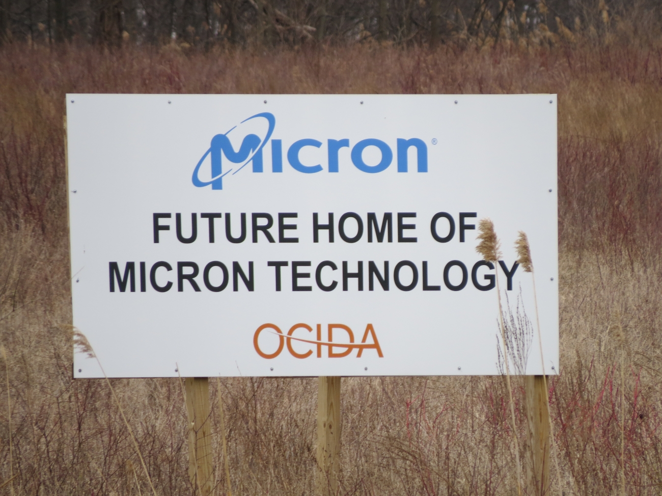 Micron reorganizing business units to capitalize on AI growth across ...