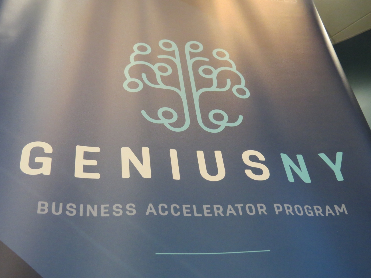 Genius NY program selects 11 semifinalists for this year’s competition ...