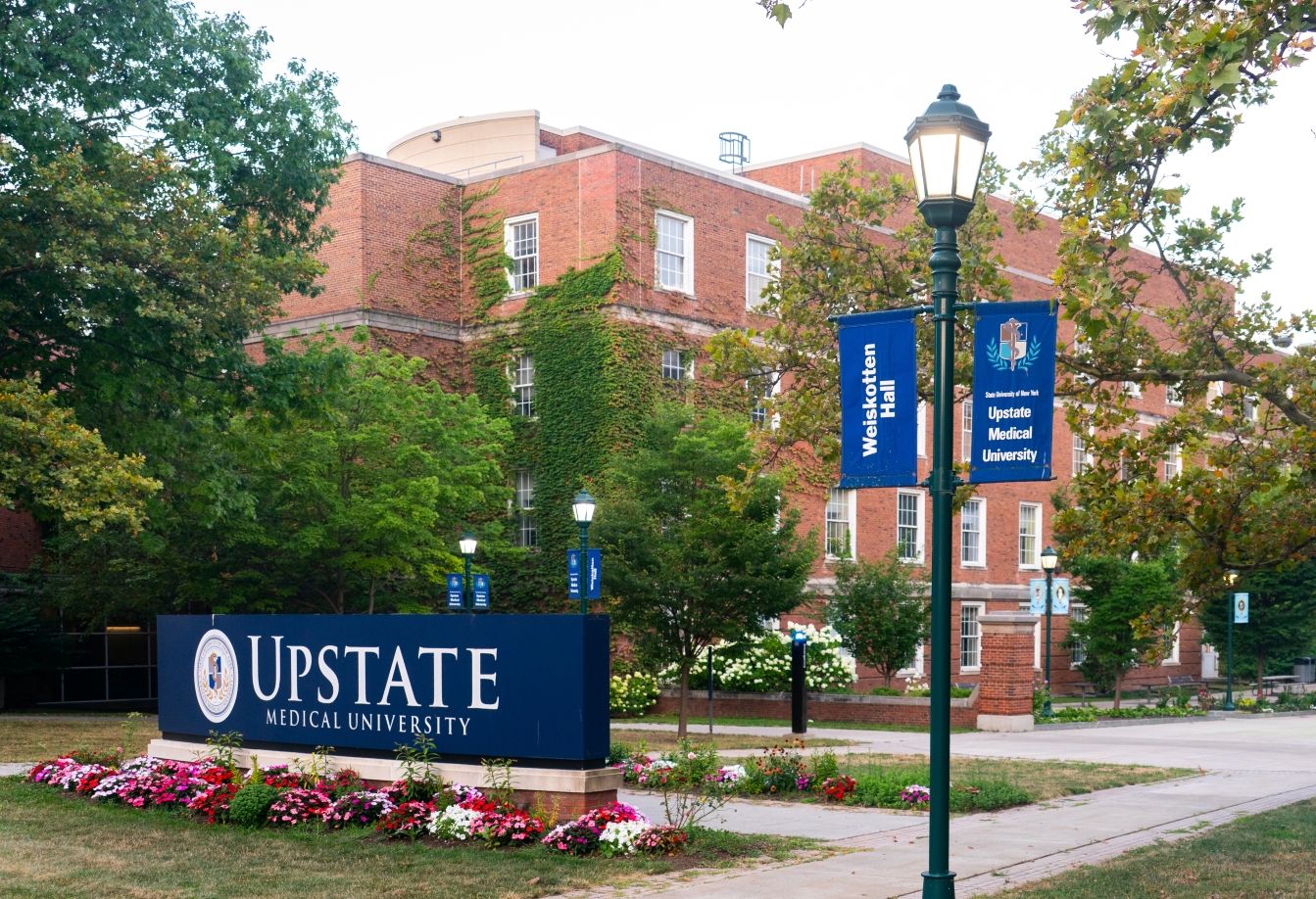 Upstate Medical University is part of the new SUNY Brain Institute ...